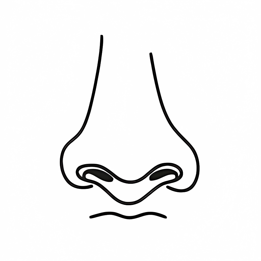 a nose
